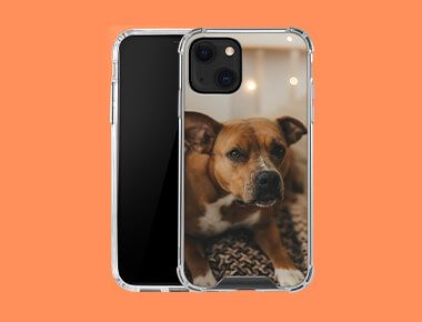Custom iPhone 14 Cases – Skinit