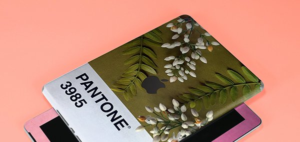 Custom Skins – Skinit