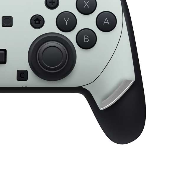 Looney Tunes Daffy Duck Crazy Nintendo Switch 2 (2025) Pro Controller ...