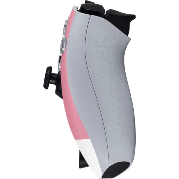 Rose Pink Color Palette PlayStation Portal Remote Player Skin – Skinit