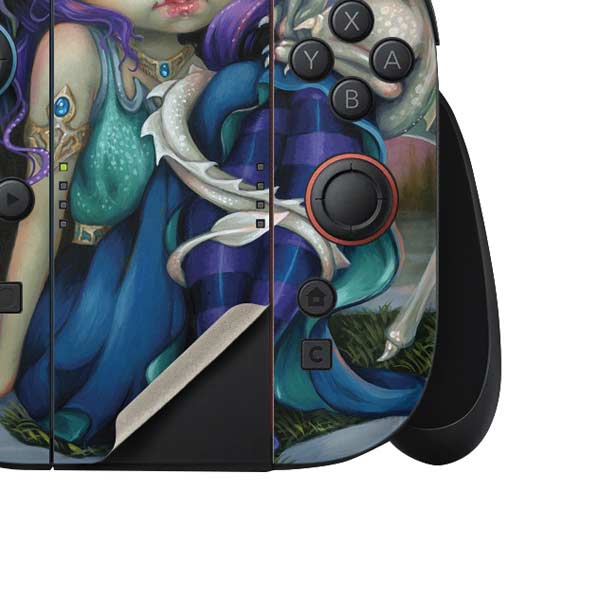 Winter Fairy With Frost Dragon by Jasmine Becket-Griffith Nintendo ...