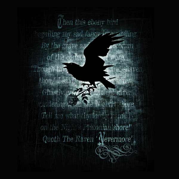 Nevermore Skin for iPhone 13 Pro Max | Skinit