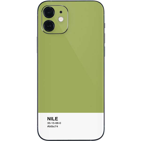 Nile Color Palette Apple iPhone Skin | Wraps – Skinit