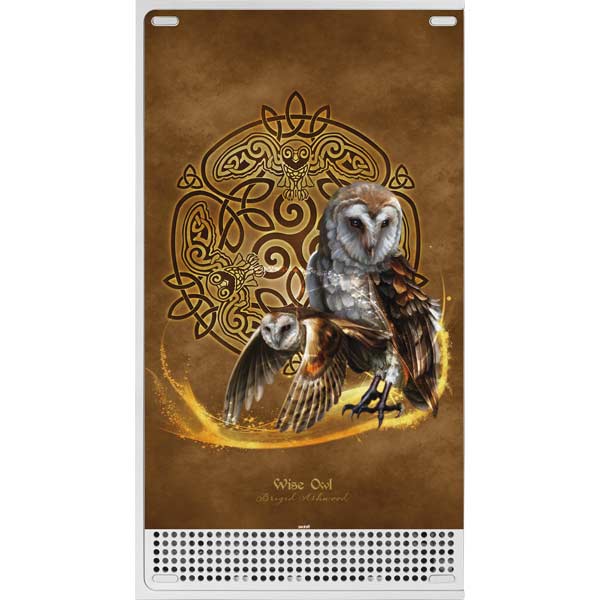 Owl Celtic Knot Microsoft Xbox Skin | Art – Skinit
